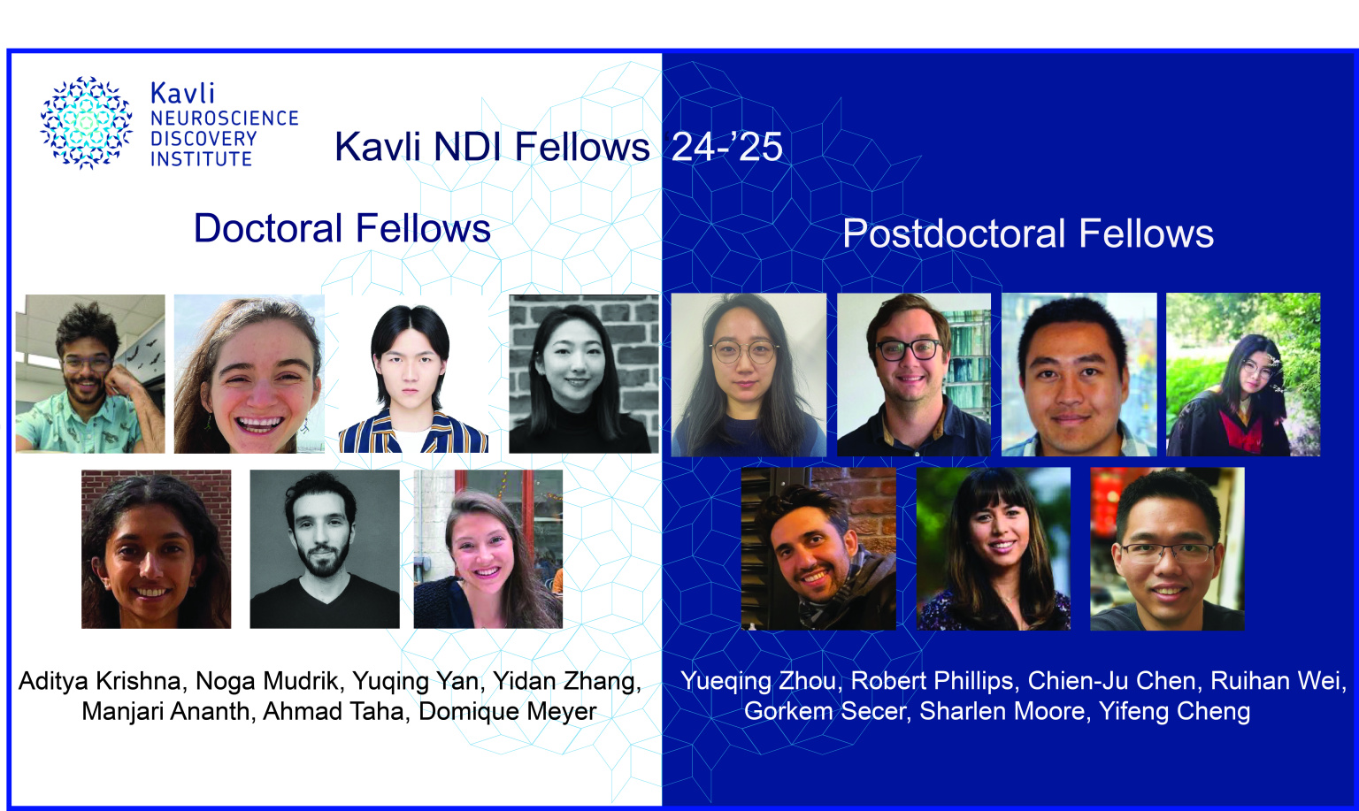 Kavli NDI Fellowships - Kavli NDI